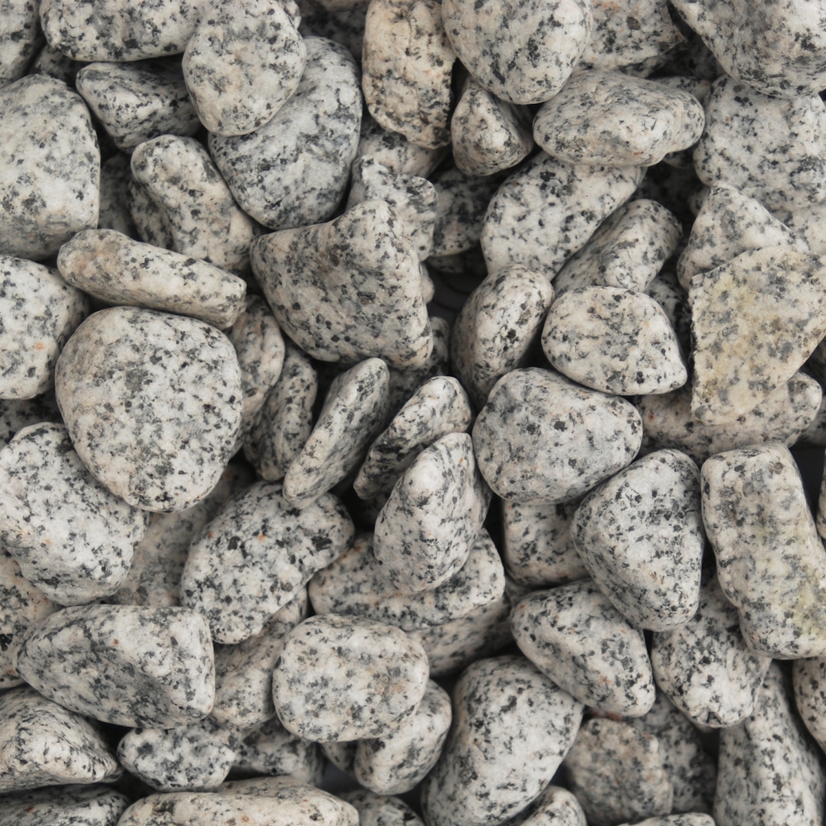 Silver Grey Pebbles 20-40mm Dry - Blackman Rowe Outdoor Living