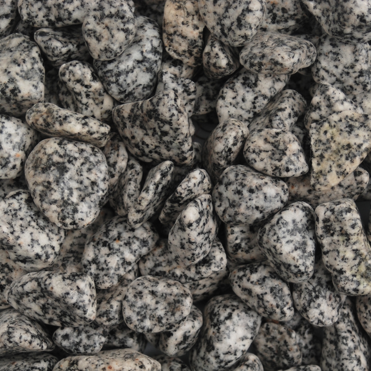 Silver Grey Pebbles 20-40mm Wet - Blackman Rowe Outdoor Living