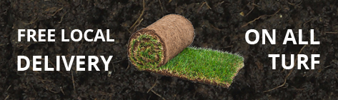 SpearHead Turf - Bosbigal